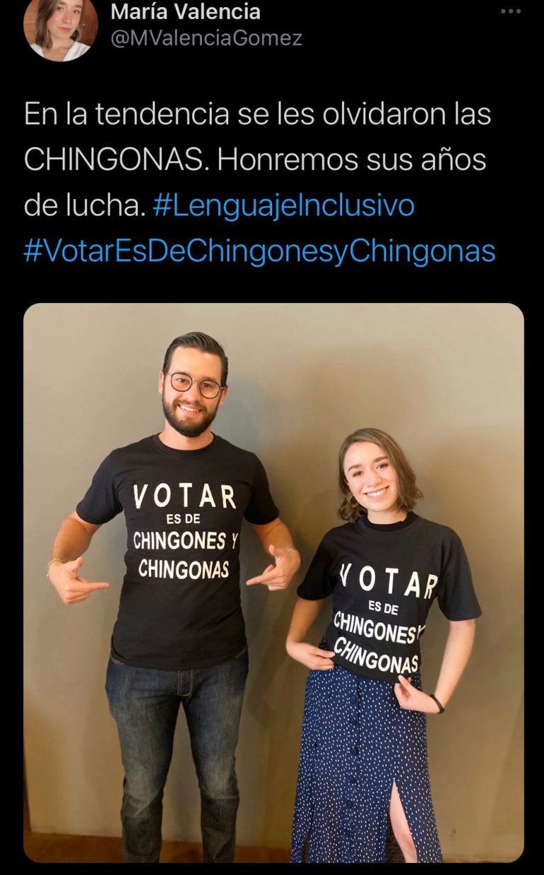 Galería – VOTAR ES DE CHINGONES